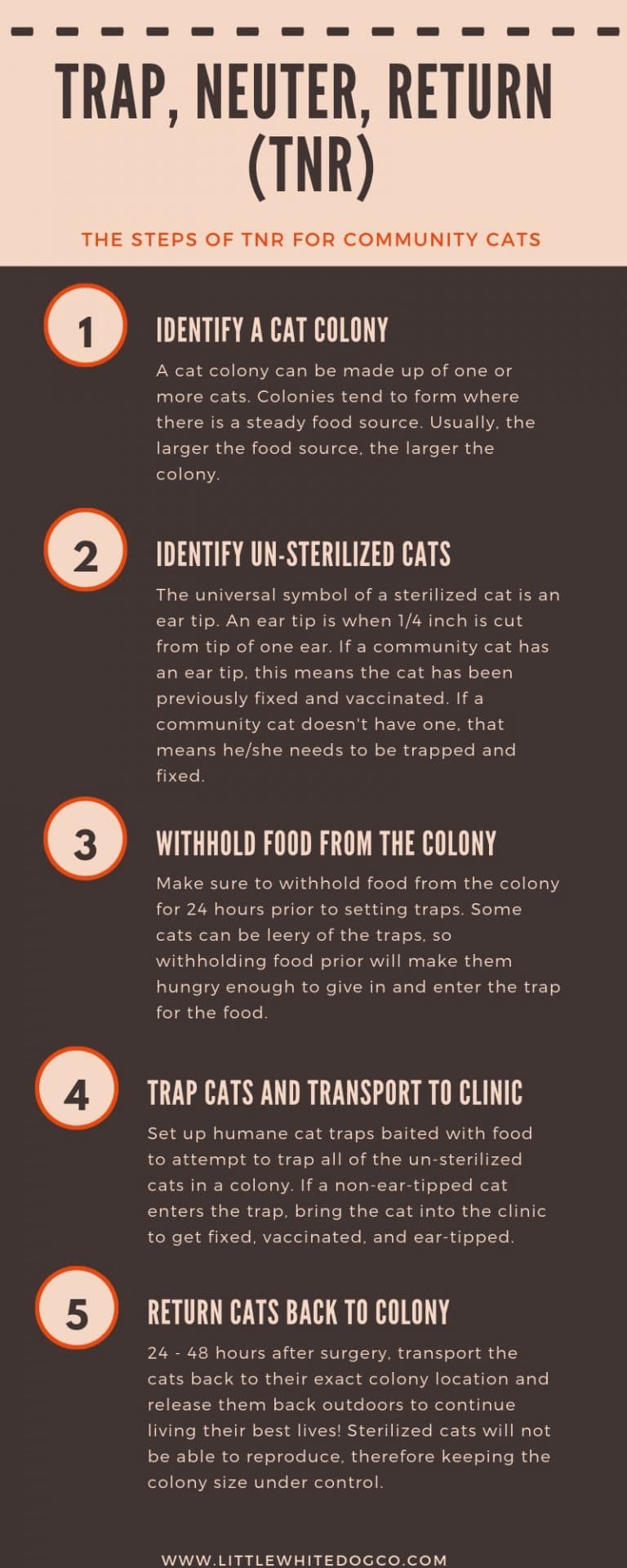 Trap, Neuter, Return (TNR) Services in Las Vegas - Little White Dog Co ...