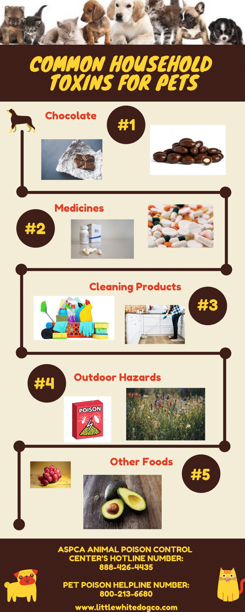 Common Household Toxins for Pets - Little White Dog Co. | Las Vegas Dog ...